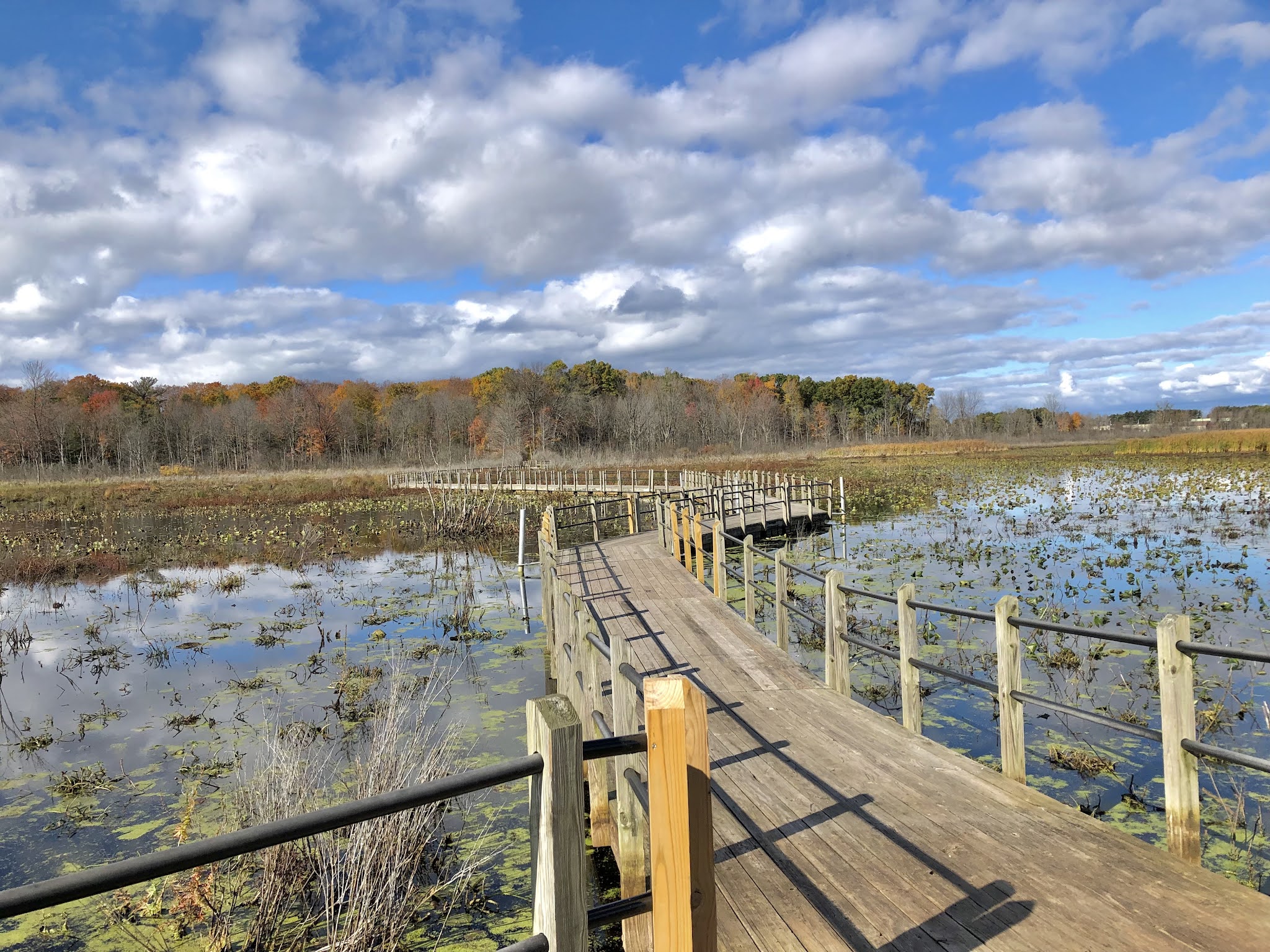 Best Hikes & Trails in Grand Haven, MI